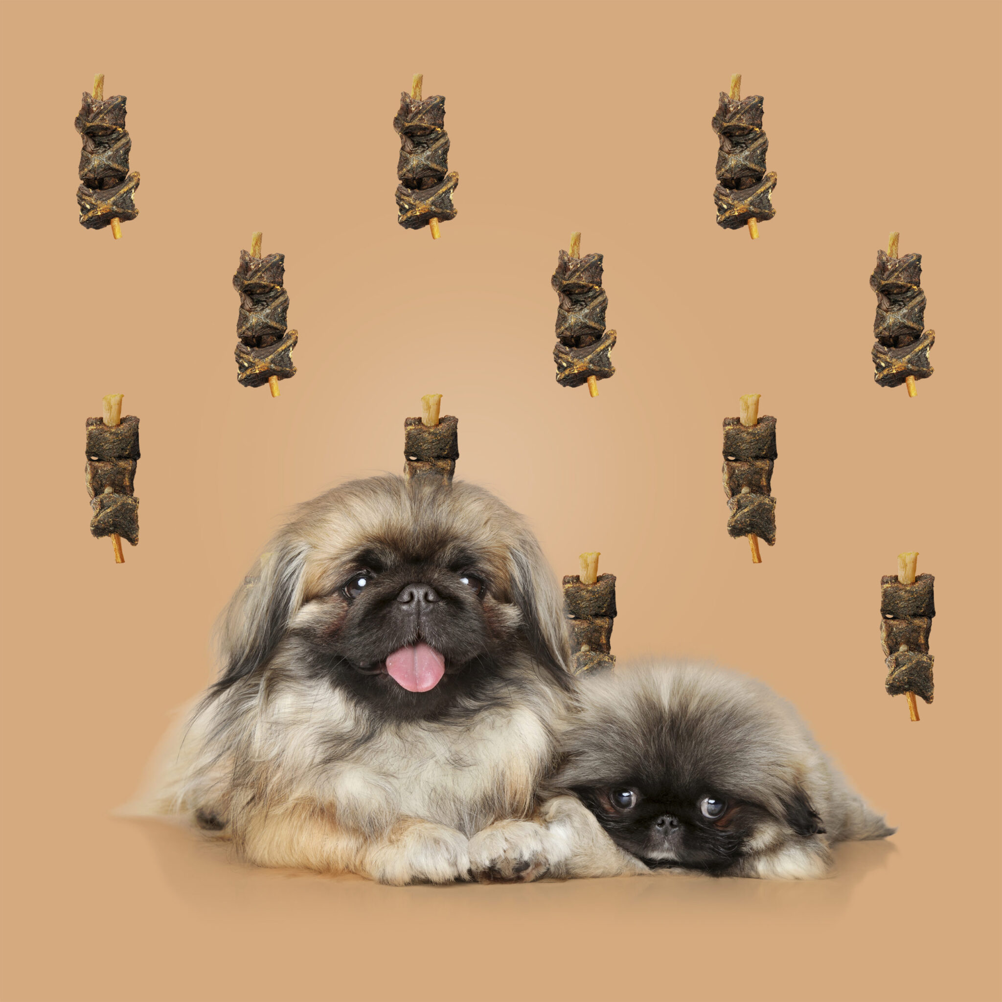 ROAM® Ossy Kebab™ – ROAM Pets